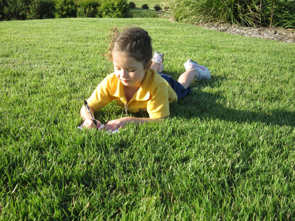 Nara Native Turf (Zoysia) - Sydney Wide Turf